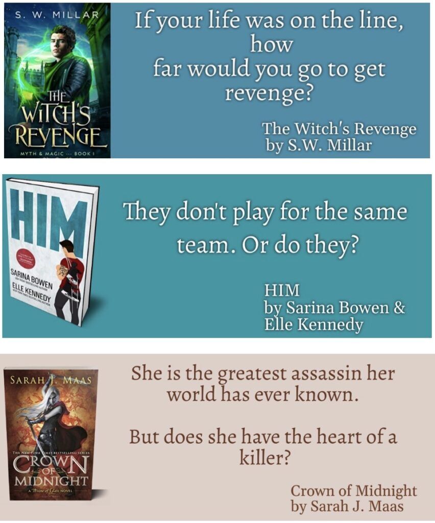 What Is A Blurb? Definition and Examples | Fictionary