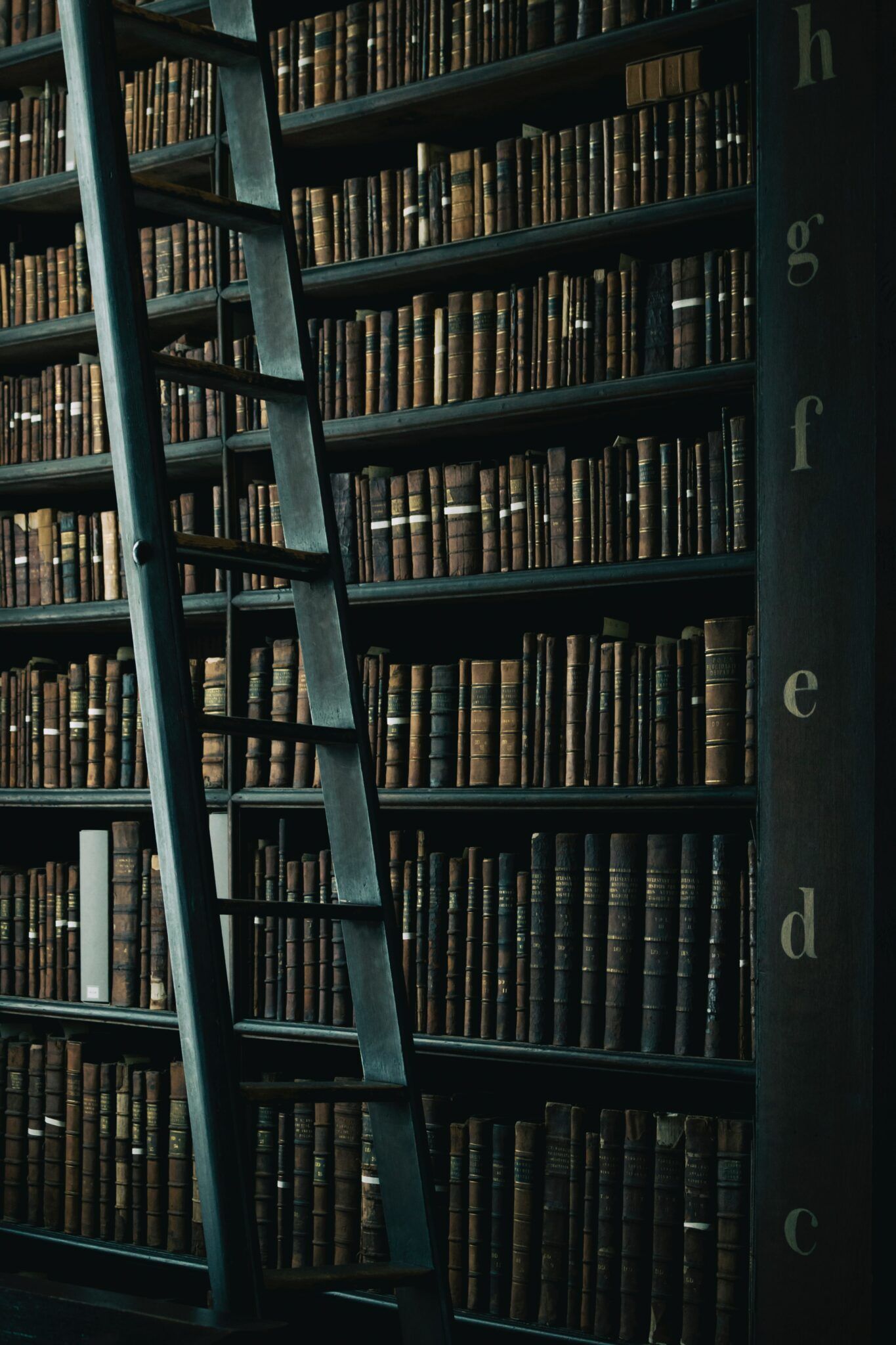 Realistic Fiction: Definition and Examples | Fictionary