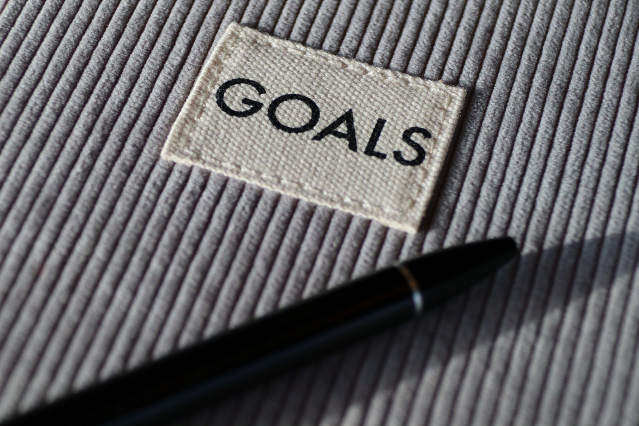 Character Goals: Deciding on Your Character's Aims | Fictionary