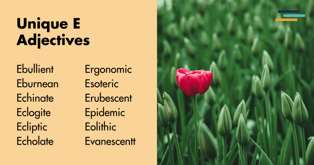 Adjectives That Start with E: 160 E Adjectives | Fictionary