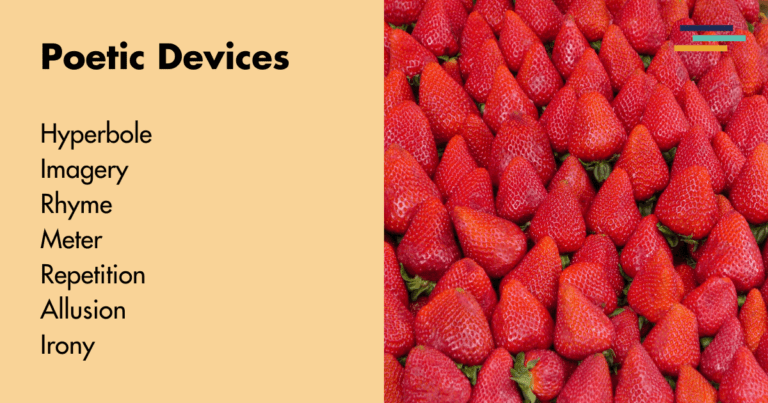 15 Poetic Devices in Literature with Examples | Fictionary