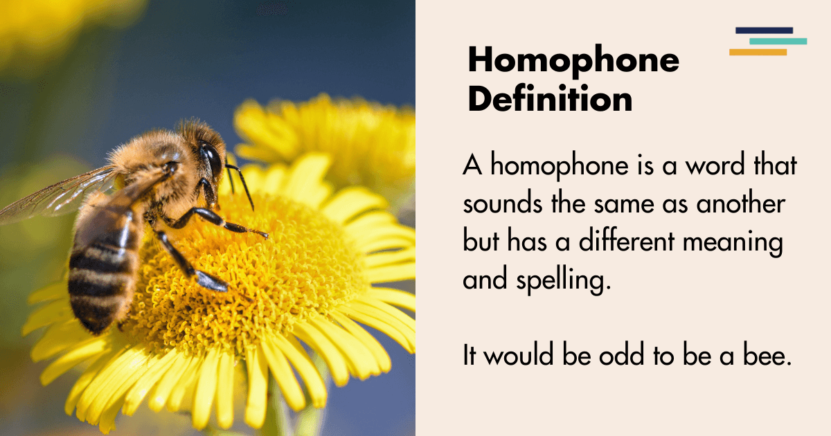 80+ Homophones: Definition, Meaning, and Examples | Fictionary