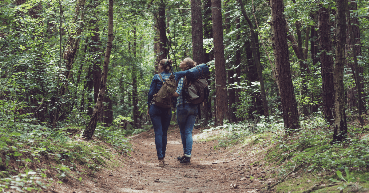 How to Write in Third Person: 6 Tips | Fictionary